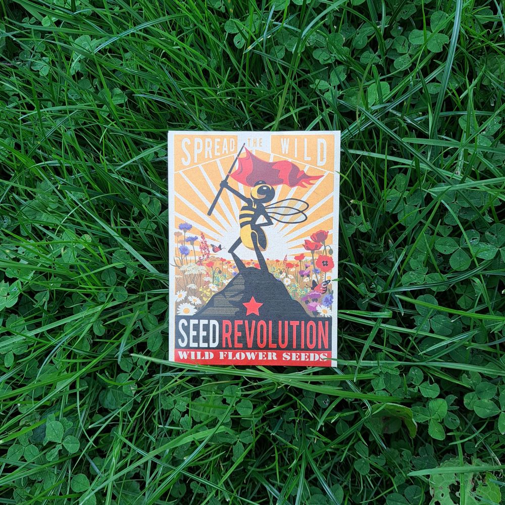 Seed Revolution wild flower seeds packet – The Made in Stroud Shop